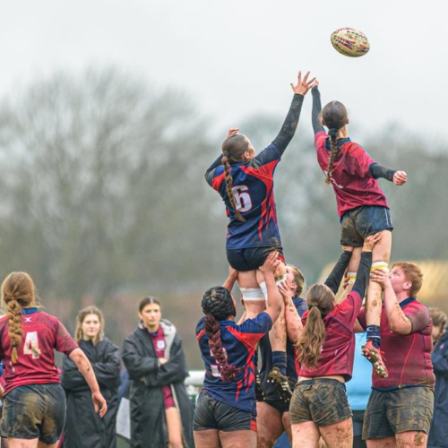 Headcase – RFU – Hampshire RFU
